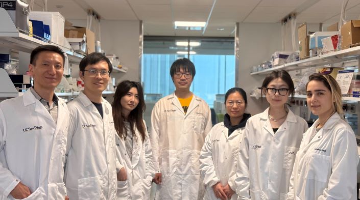 Breakthrough AI finds a cause and treatment candidate for Alzheimer's