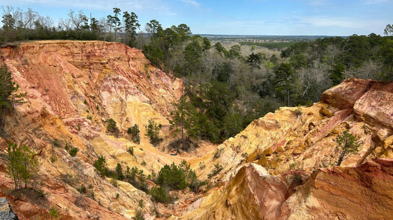 The 'Little Grand Canyon' Of Mississippi Is A Geological Oddity With ...