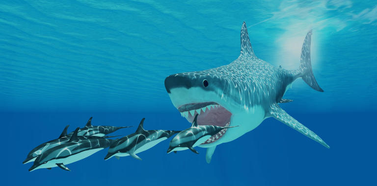 Millions of years ago, the megalodon ruled the oceans – why did it ...