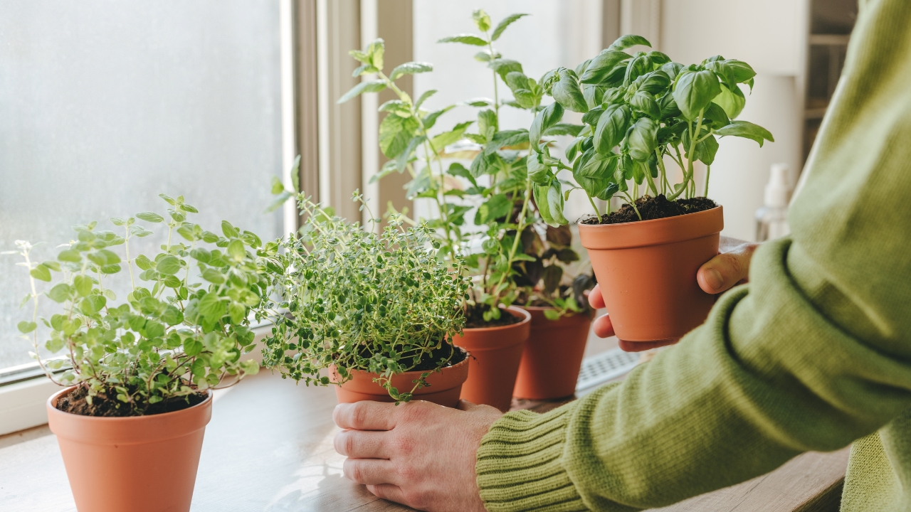 8 Choices That Make the Windows Useless for Light or Air