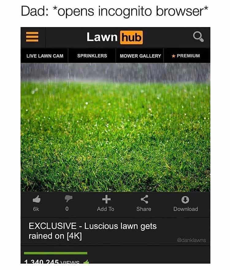 48 Funny Lawn Care Memes For Dads Who Live For The Smell Of Fresh Cut Grass