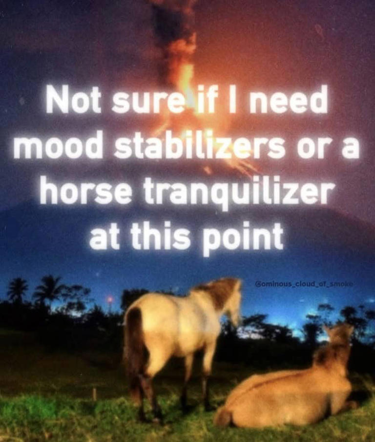 40 Funny Therapy Memes For Anyone Who’s Coping Through The Chaos