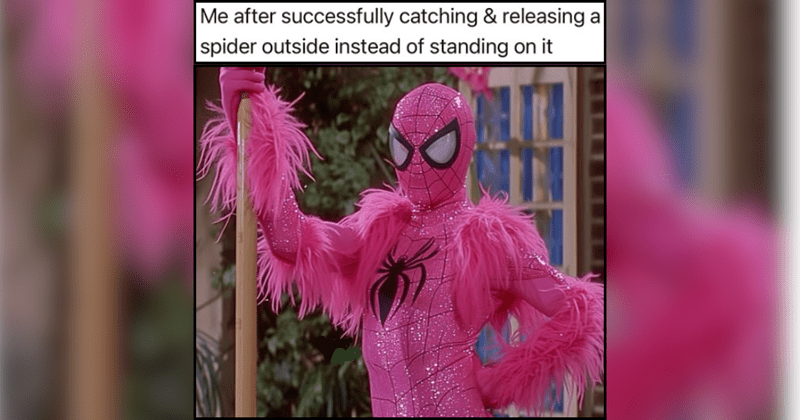 Just a Bunch of Silly Girly Memes For Girls Who Like Being Silly