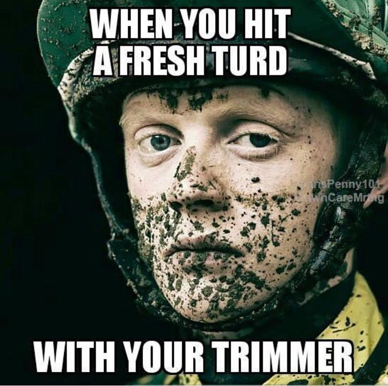 48 Funny Lawn Care Memes For Dads Who Live For The Smell Of Fresh Cut Grass