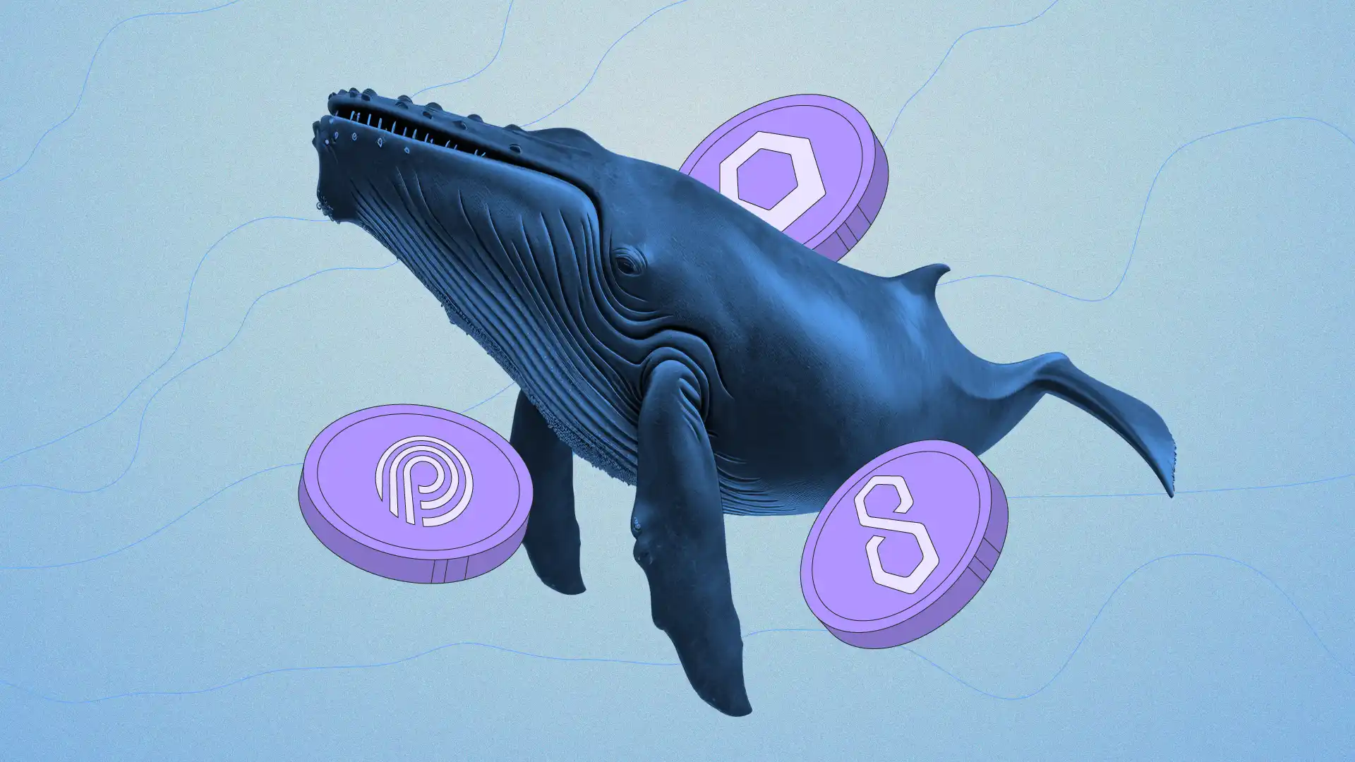 Crypto Whales Are Accumulating These 3 Altcoins as May Approaches