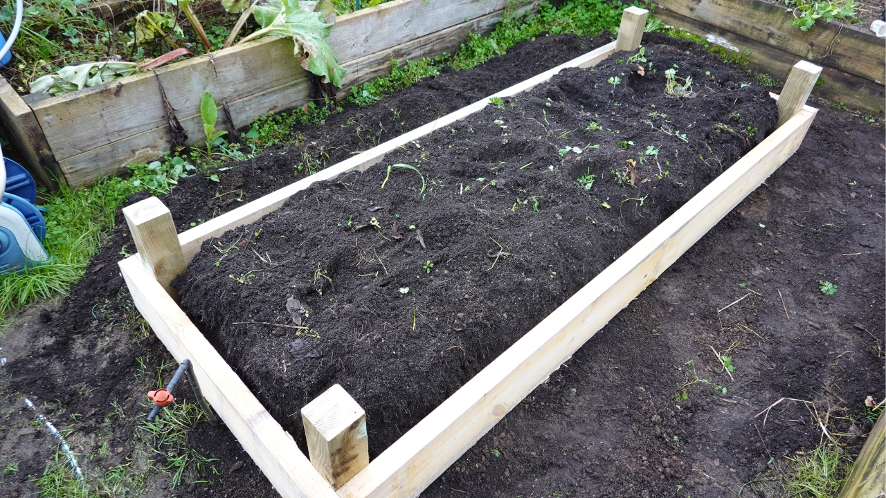 How to start a backyard homestead with just one raised bed