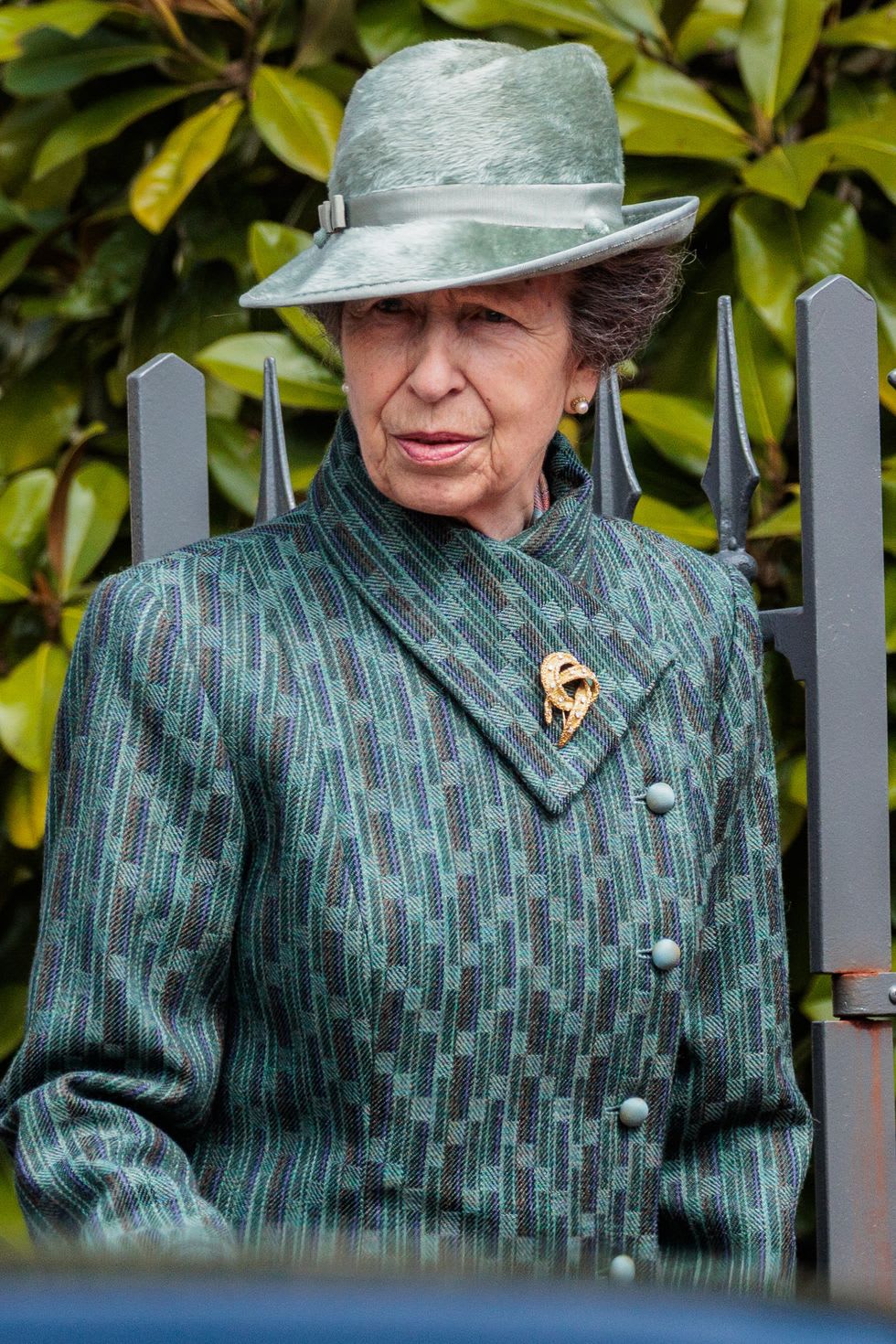 Princess Anne 'suffered painful injury' days before travelling to ...