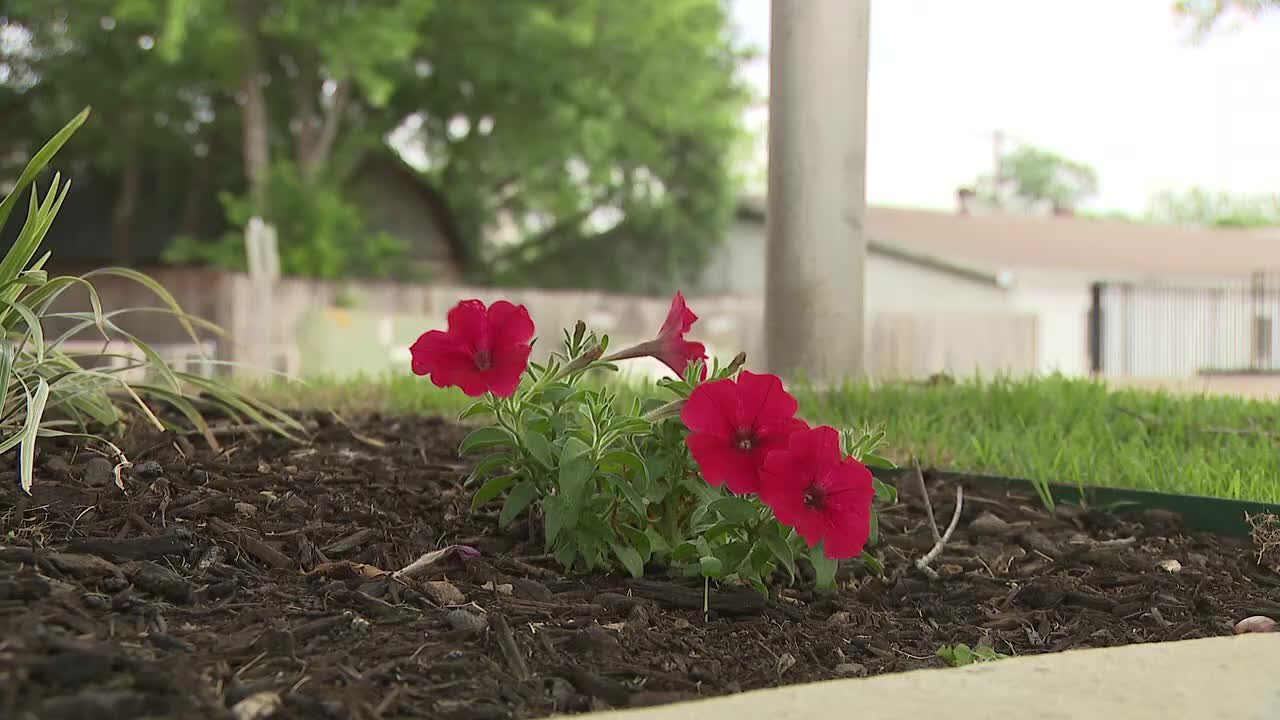 Red Poppy Fest packs downtown Georgetown for the weekend