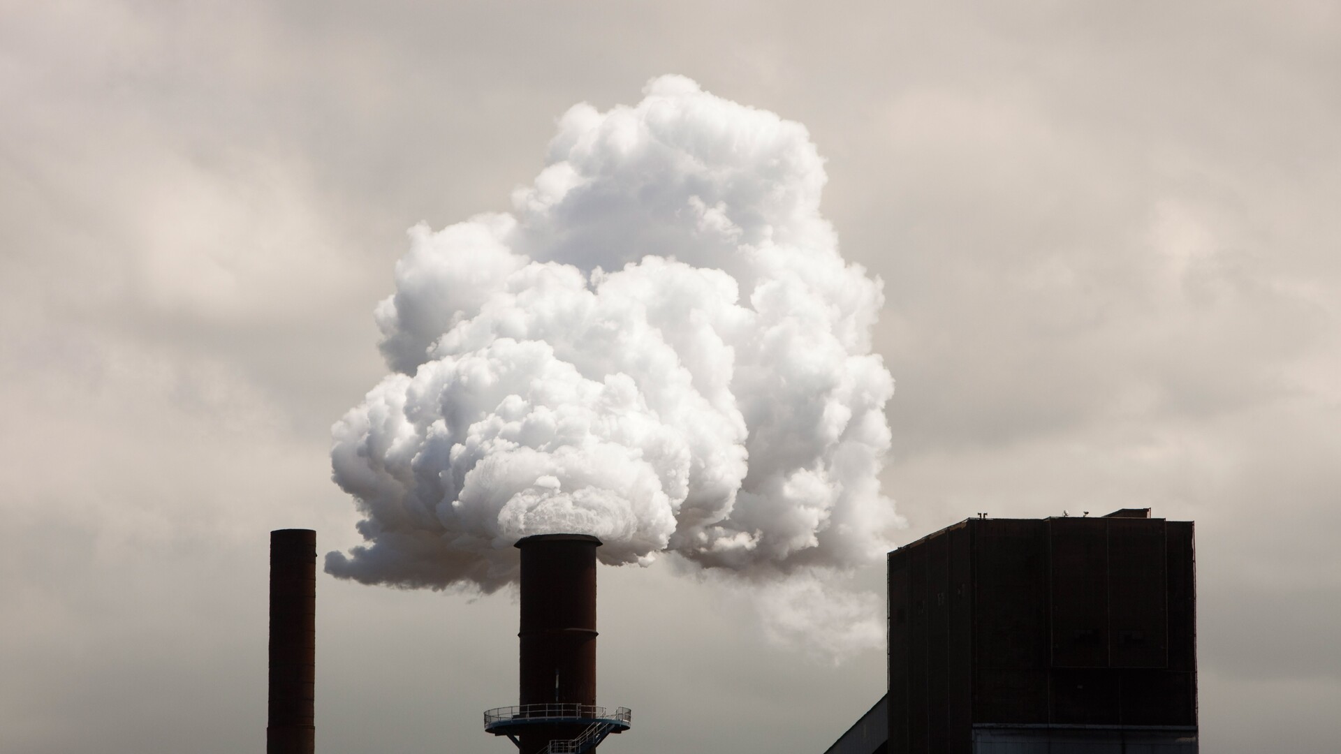 ‘Bills have gone up’: James Morrow labels the capacity mechanism a ‘de ...