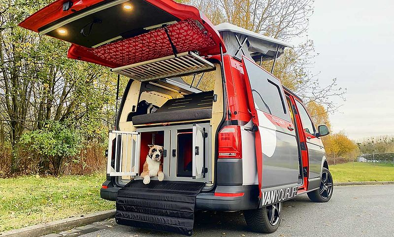 So einfach kommt der VW-Bulli auf den Hund
