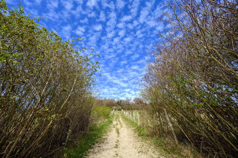 10 best walks in Kent: Stunning routes from coastal trails to ...