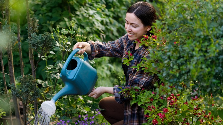 Make Your Garden Feel Alive With The Power Of Soundscaping