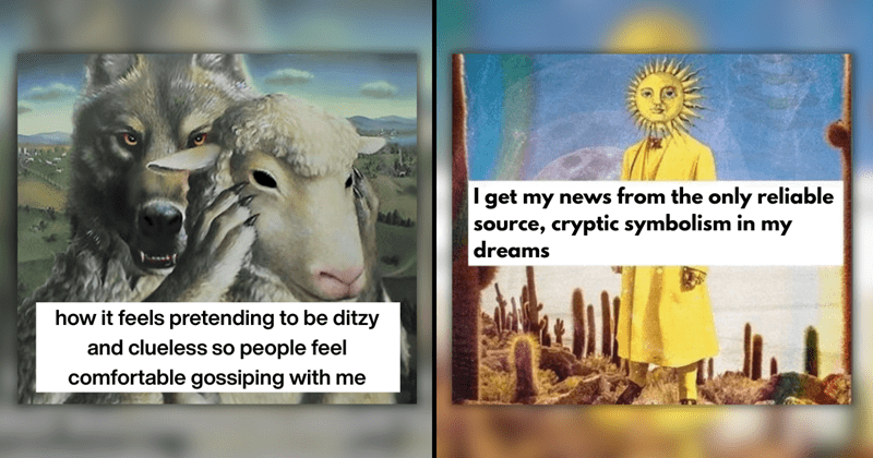 Do We Have the Same Weird Taste in Memes? 29 Assorted Memes for Women ...