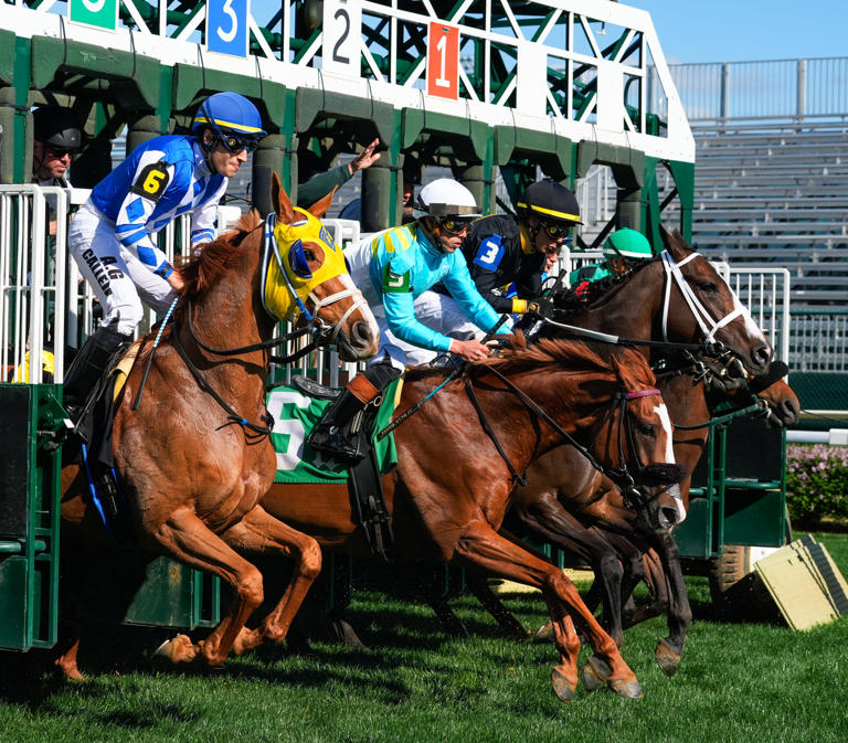 The ultimate Kentucky Derby insider shares his favorite places to watch ...