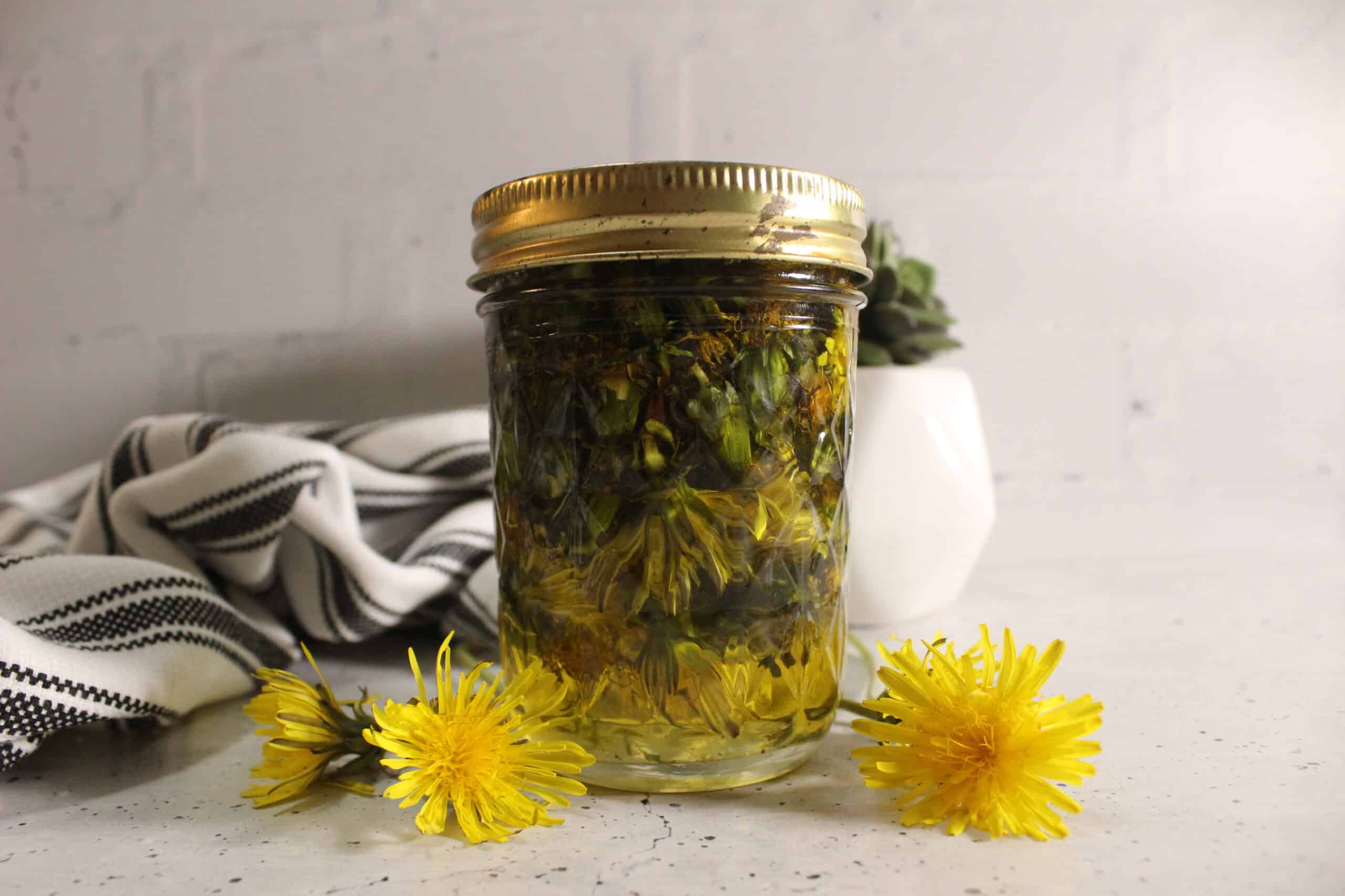 How to Make & Use Dandelion Infused Oil