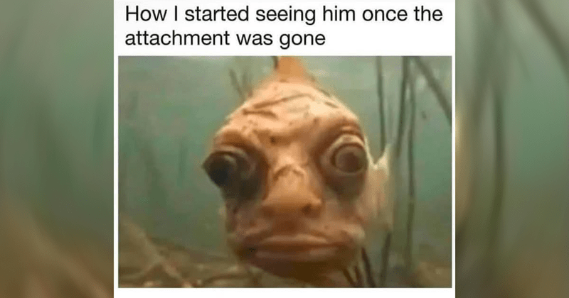 30 Memes to Dazzle and Amaze