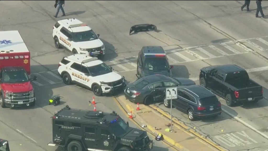 Family of man shot and killed by Kane County Sheriff's deputies files ...