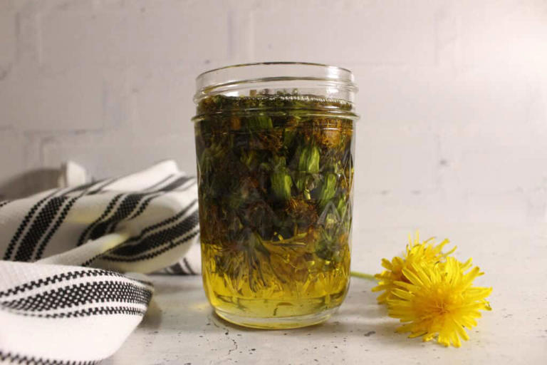 How to Make & Use Dandelion Infused Oil
