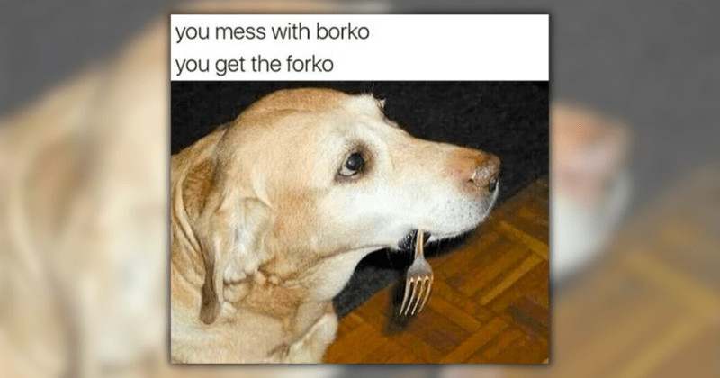 22 Woofing Whimsical Dog Memes Borking Barks Full of Funnies