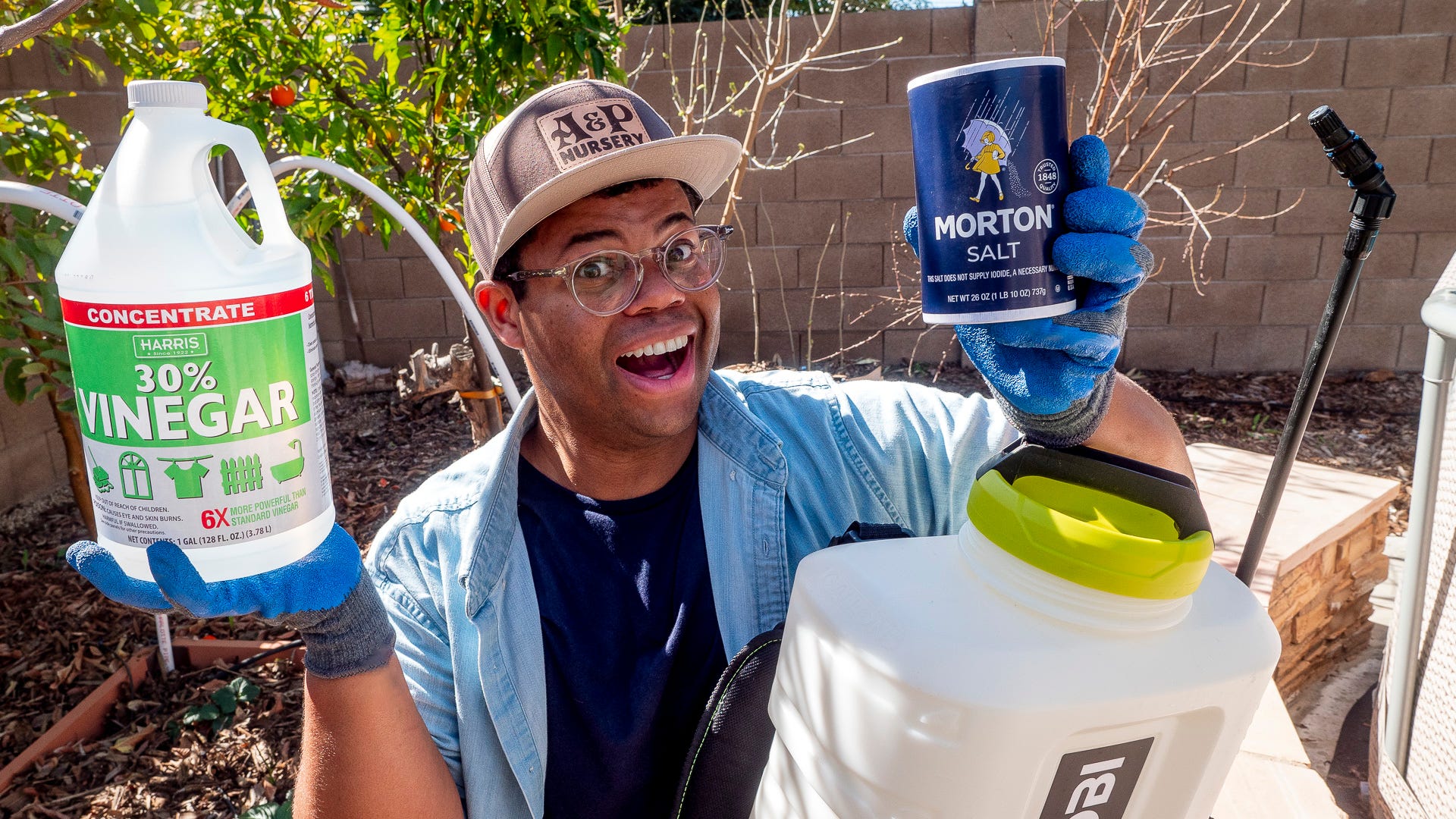 Make your own chemical-free weed killer with these 3 household ...