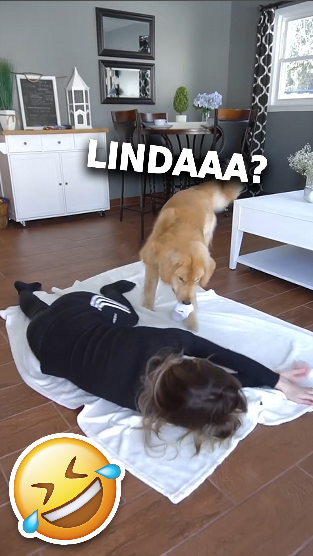 Funny Golden Retriever Dog Reacts to Me Faking My Death – You Won’t ...
