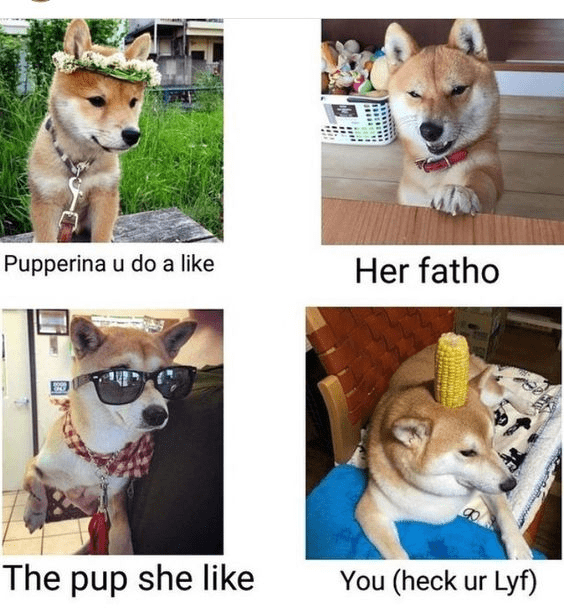 22 Woofing Whimsical Dog Memes Borking Barks Full of Funnies