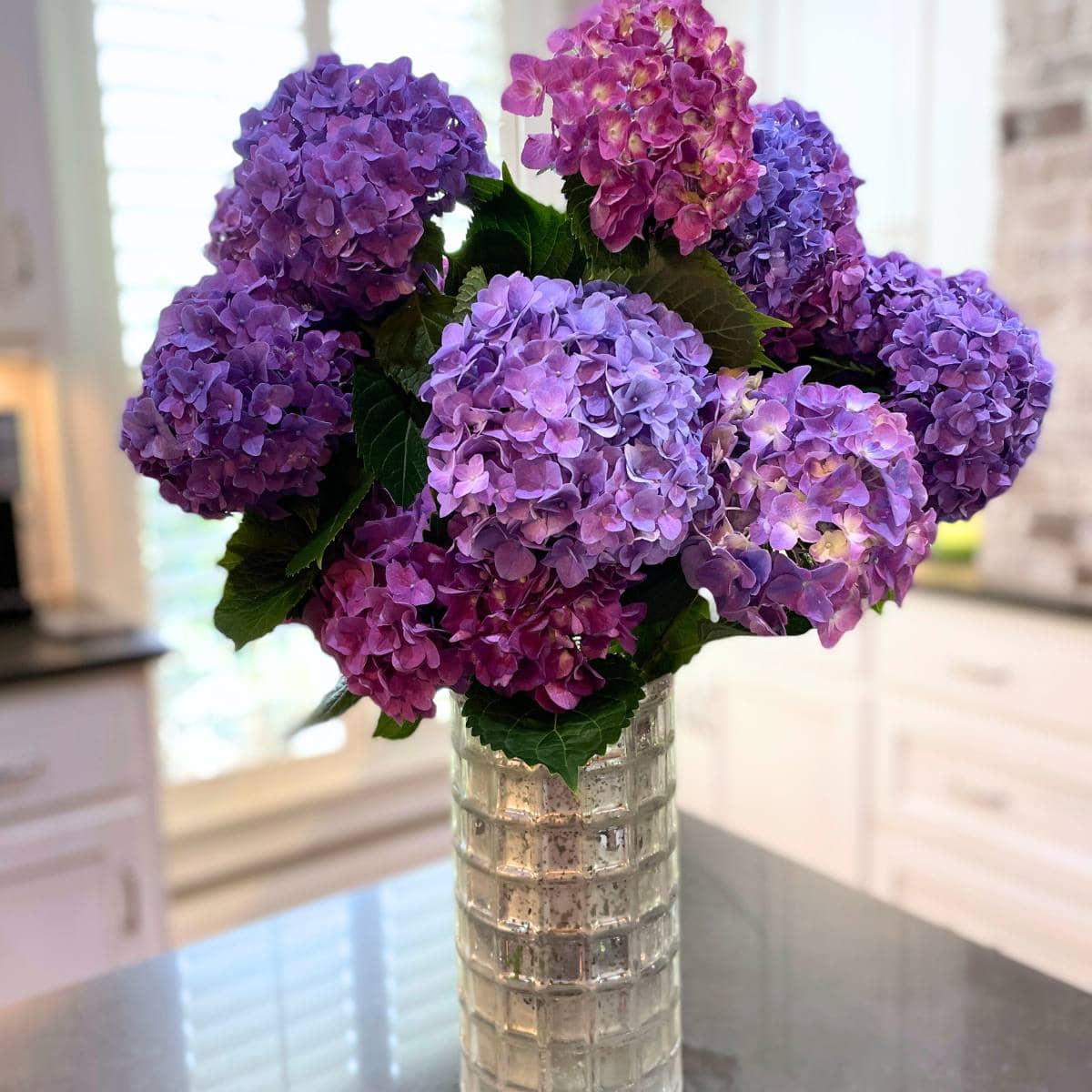 Arranging Flowers in a Wide-Mouth Vase: Simple Tips for Success