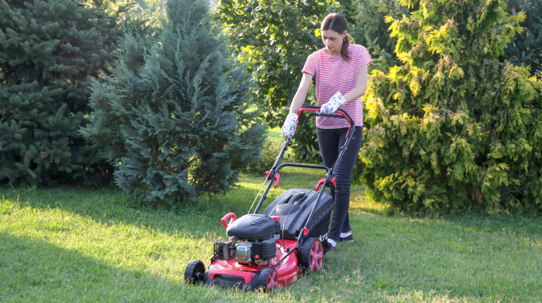 How to make your grass greener than ever — 9 lawn tips that work