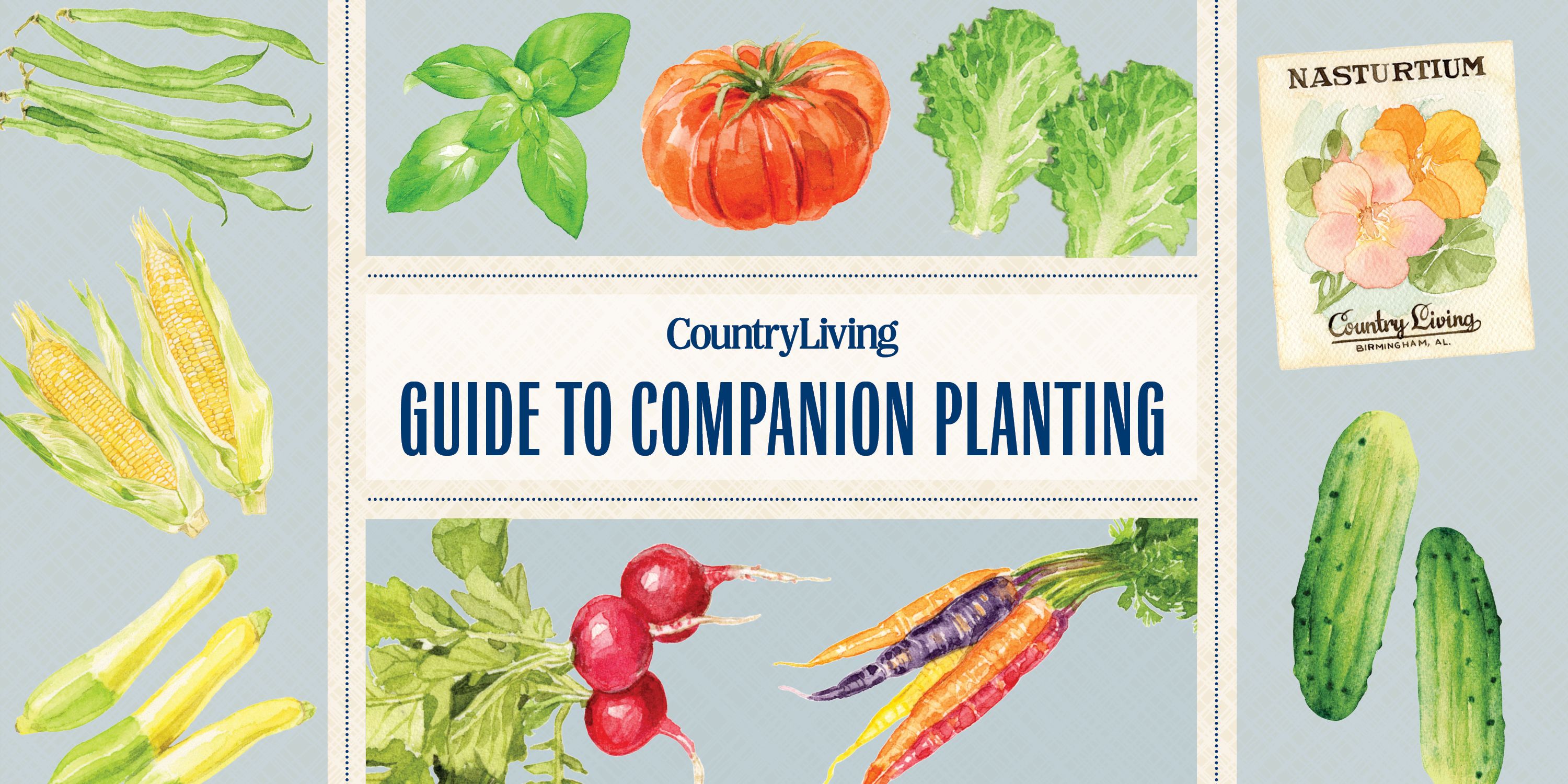 Your Guide to Companion Planting (and the Best Plants to Combine)