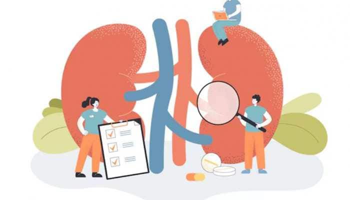 Hydration Myths And Facts: How Much Water Do Your Kidneys Really Need?