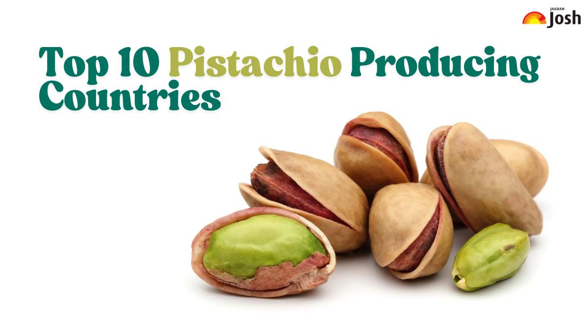 Top 10 Pistachio Producing Countries
