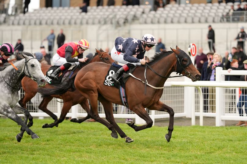 Daily Star Sport's tipster's horse racing tips for Monday's UK and ...