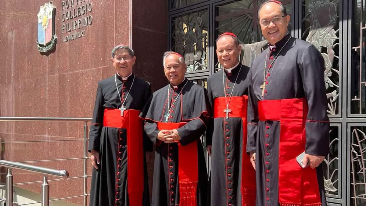 Cardinal David: Conclave not ‘worldly spectacle’
