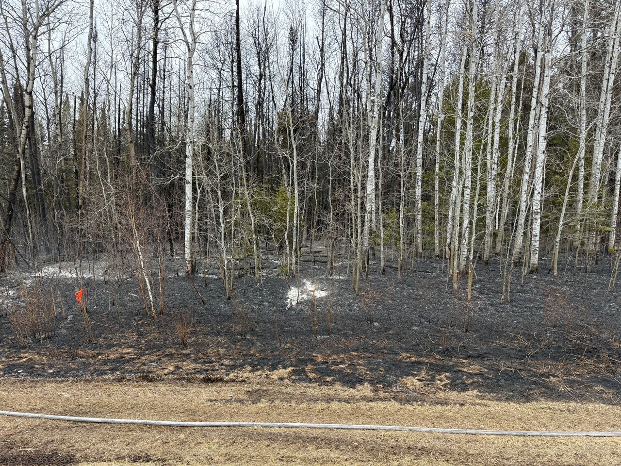 Residents forced out by grass fire in Traverse Bay can return home