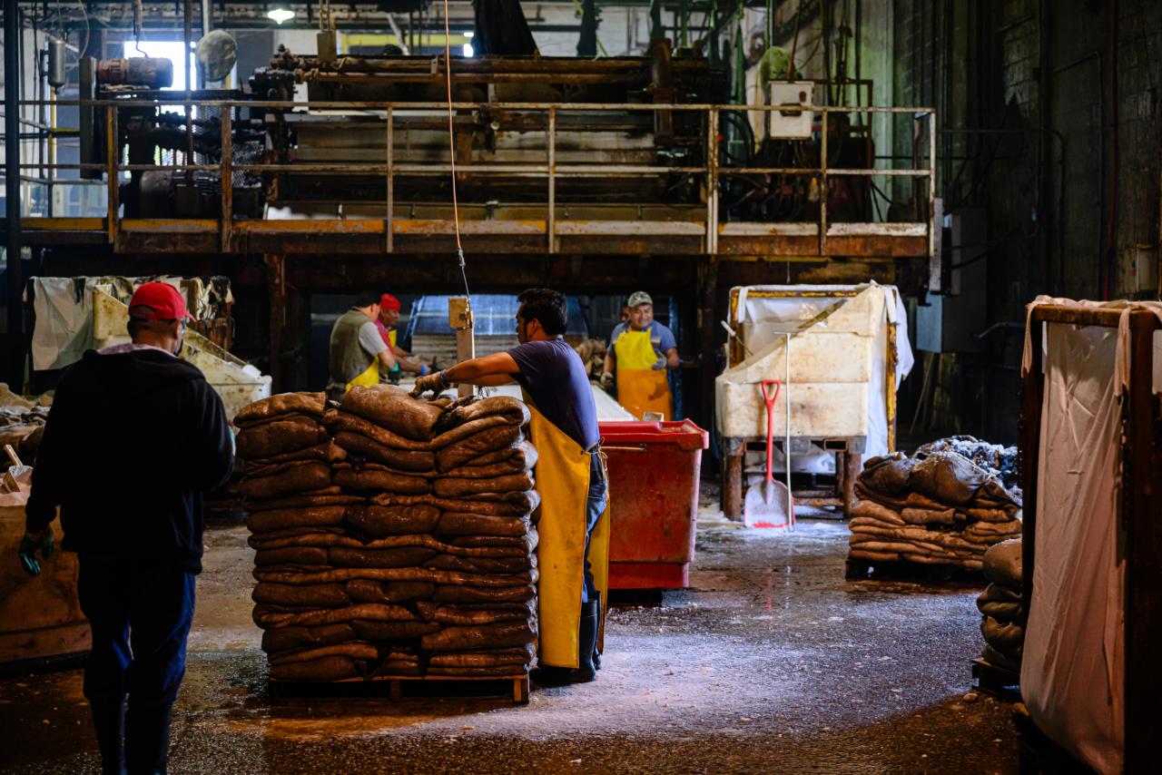 America’s Leather Economy Has Gone Global, and Now It Can’t Escape the ...