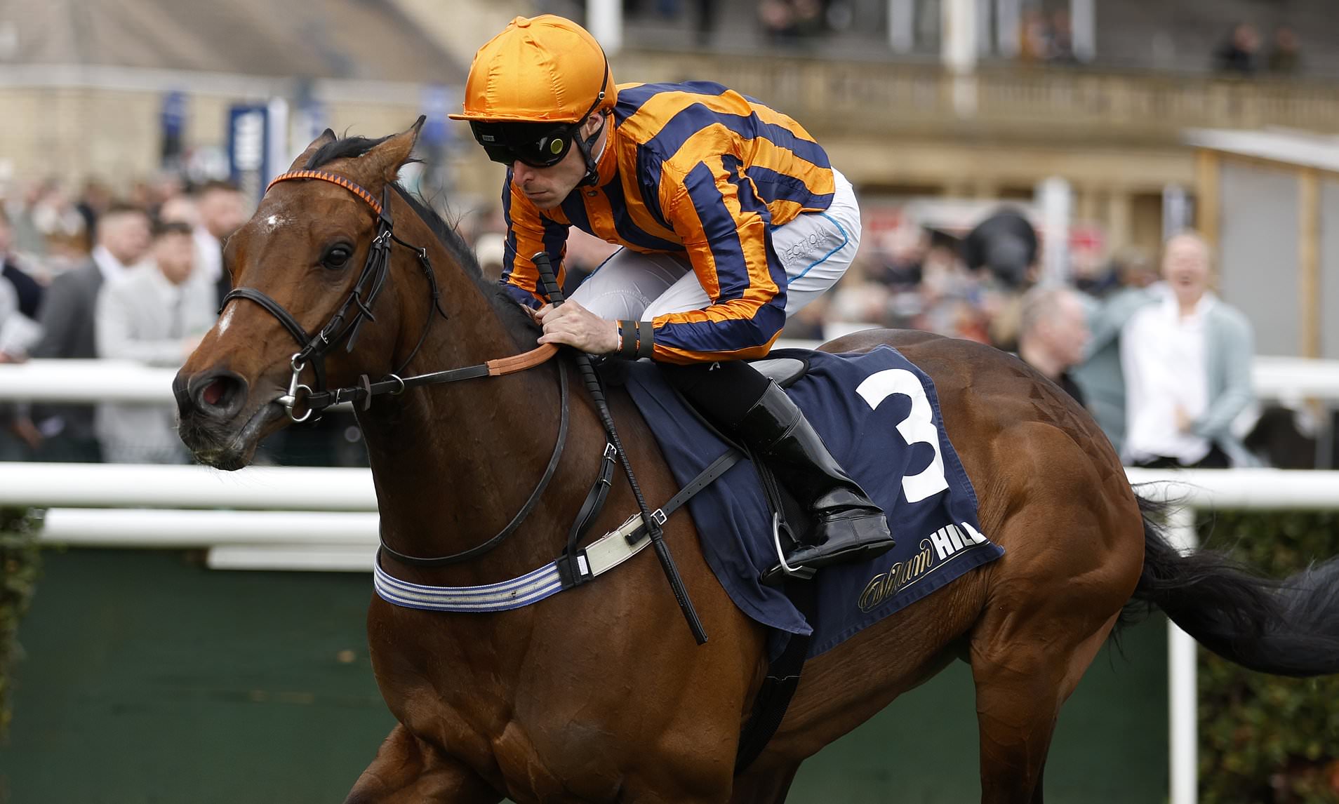 Robin Goodfellow's racing tips: Best bets for Wednesday, April 30