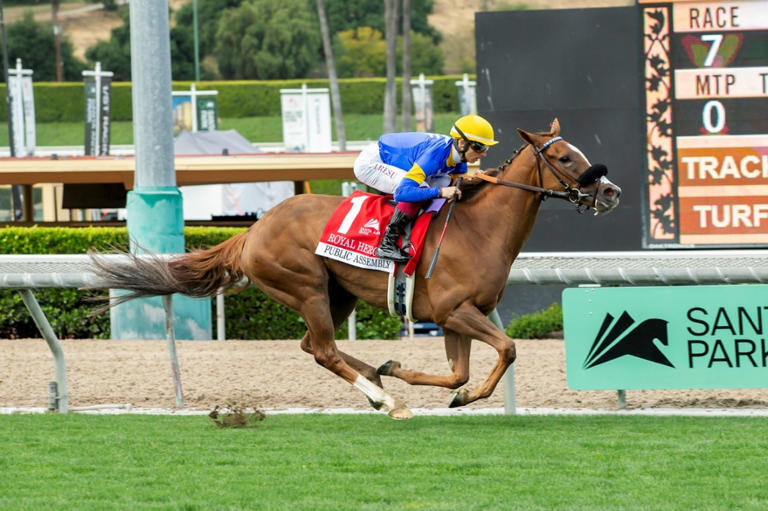 Public Assembly tops field of seven in Robert J Frankel