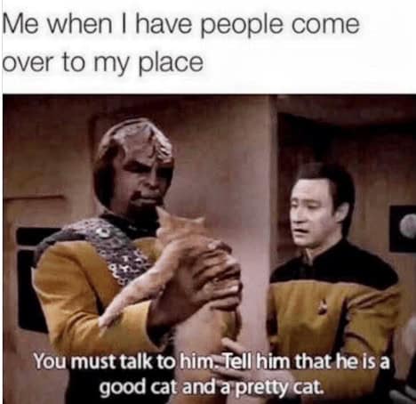 45 Funniest Introvert Memes For People Who Rehearse Phone Calls Like It ...