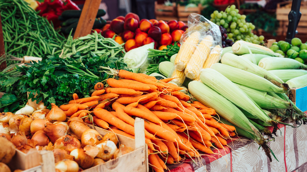 Michiana VegFest returns with flavor and fun for all ages, promoting a ...