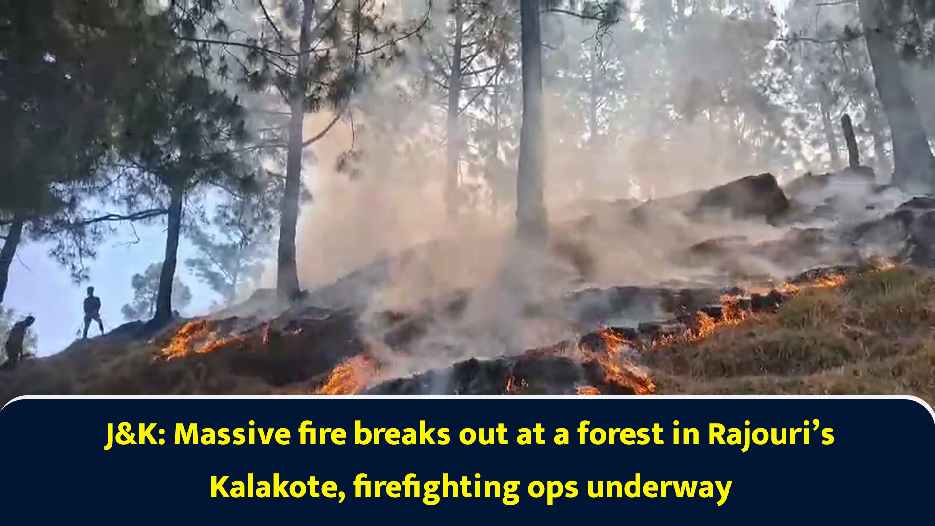 J&K: Fire breaks out at a forest in Rajouri’s Kalakote, firefighting ...