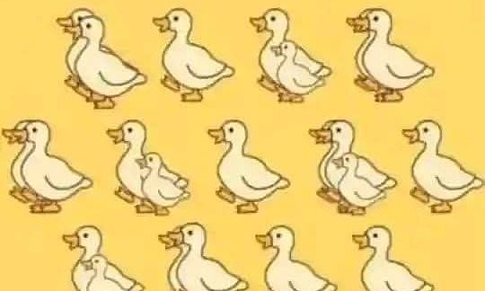 How many ducks can you see in eye-boggling optical illusion in 30 seconds