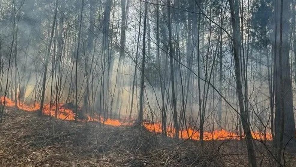 Fire crews beginning to contain blaze in Michaux State Forest