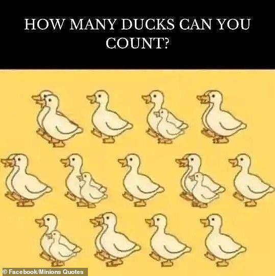 How many ducks can you see in eye-boggling optical illusion in 30 seconds