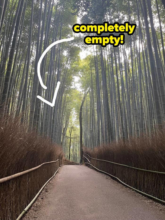 11 Mistakes You Want To Avoid At All Costs While Visiting This Popular ...