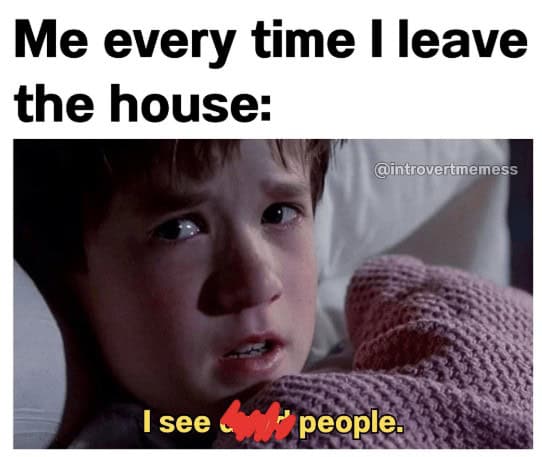 45 Funniest Introvert Memes For People Who Rehearse Phone Calls Like It ...