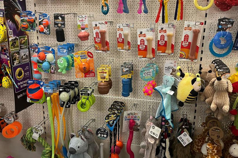 Popular pet store to shut for good as it launches closing down sale