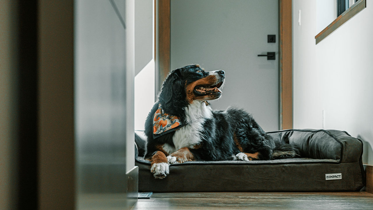 Le prime auto costruite dalle case automobilistiche più famose del mondo