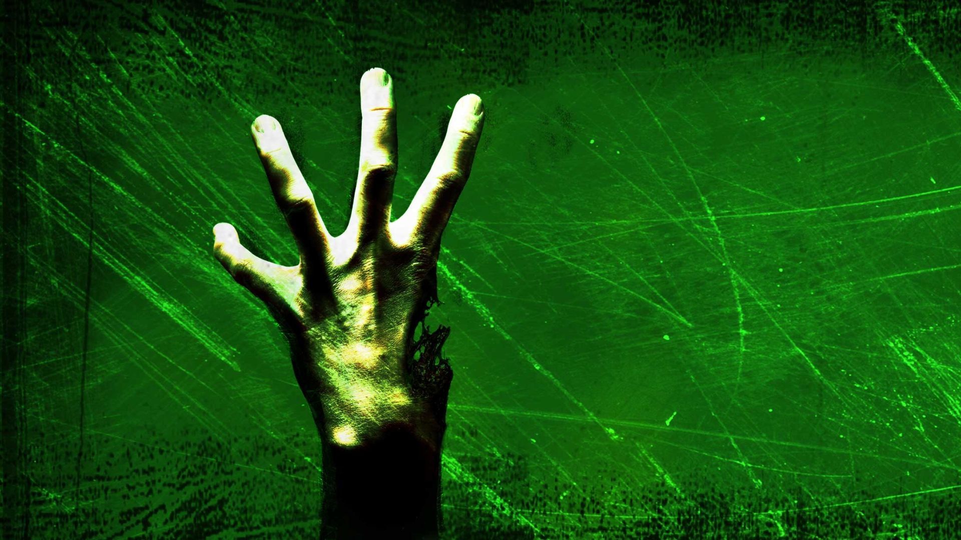 After a 'catastrophic' hack, 4chan has risen from the grave: 'No other ...