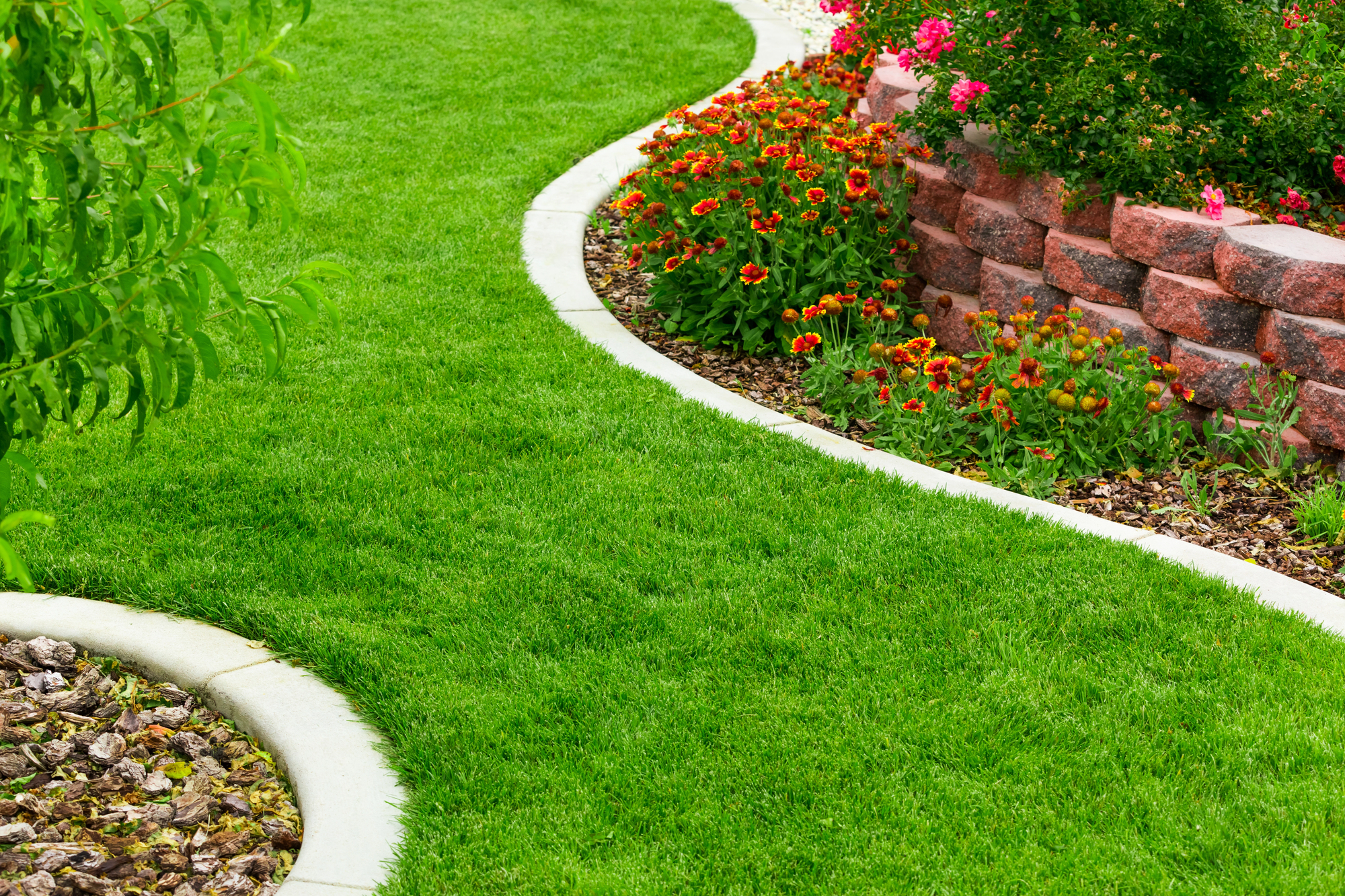 How to edge a lawn for a crisp border without buying expensive tools