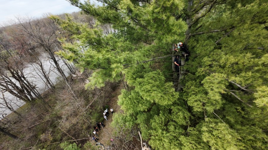 Stranded climber uses app to help firefighters find him in tree